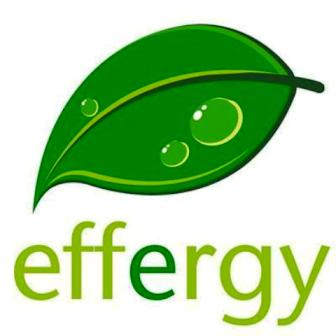 Primera visita del equipo Effergy a las Islas Maldivas - Grupo Desarrolla